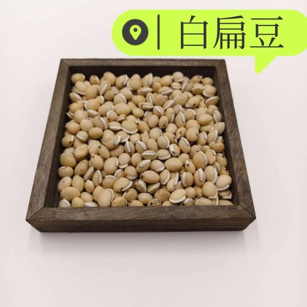 白扁豆图片_白扁豆和扁豆的区别-第2张图片-山城妙识 白扁豆图片_白扁豆和扁豆的区别-第2张图片-山城妙识