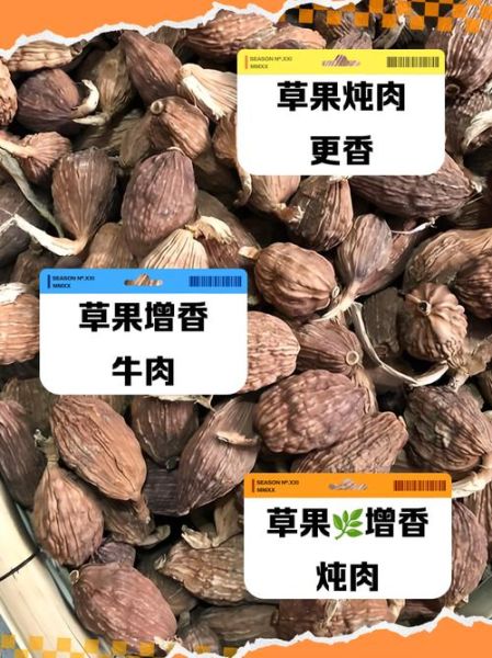 香果和草果的区别_香果和草果哪个更适合炖肉-第1张图片-山城妙识 香果和草果的区别_香果和草果哪个更适合炖肉-第1张图片-山城妙识