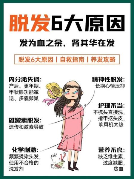 经常掉头发是什么原因_如何防止脱发-第1张图片-山城妙识 经常掉头发是什么原因_如何防止脱发-第1张图片-山城妙识
