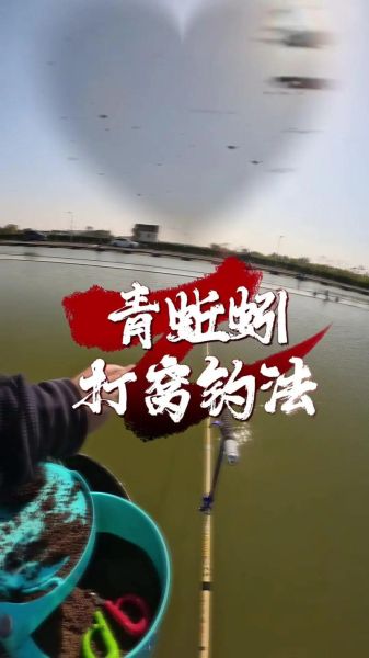 鳊鱼怎么钓_鳊鱼钓法技巧-第2张图片-山城妙识