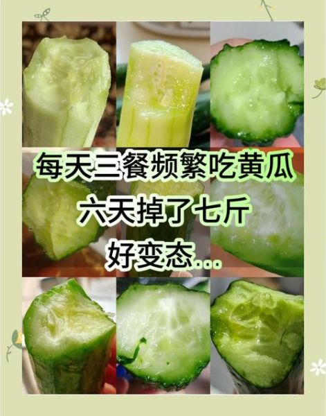 黄瓜怎么保存时间长_黄瓜减肥怎么吃-第1张图片-山城妙识