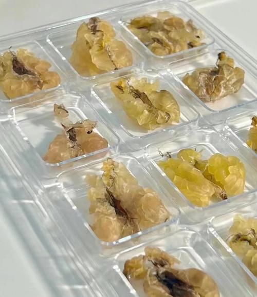 雪蛤对子宫有什么好处_雪蛤怎么吃调理子宫-第3张图片-山城妙识 雪蛤对子宫有什么好处_雪蛤怎么吃调理子宫-第3张图片-山城妙识