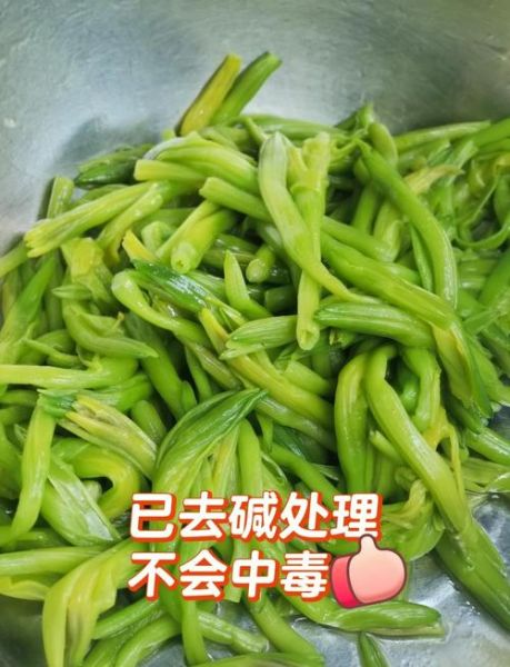 鲜黄花菜怎么吃安全_鲜黄花菜怎么处理去毒-第1张图片-山城妙识