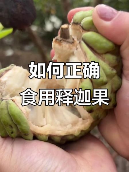 释迦怎么吃_释迦怎么剥皮-第1张图片-山城妙识 释迦怎么吃_释迦怎么剥皮-第1张图片-山城妙识