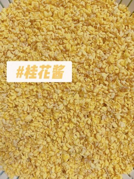 蜂蜜桂花酱的做法窍门_蜂蜜桂花酱怎么保存-第3张图片-山城妙识