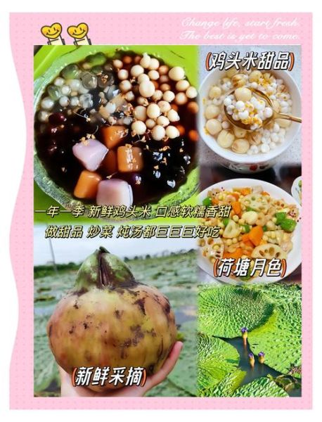 鸡头米怎么吃法_鸡头米怎么吃最好吃-第1张图片-山城妙识 鸡头米怎么吃法_鸡头米怎么吃最好吃-第1张图片-山城妙识
