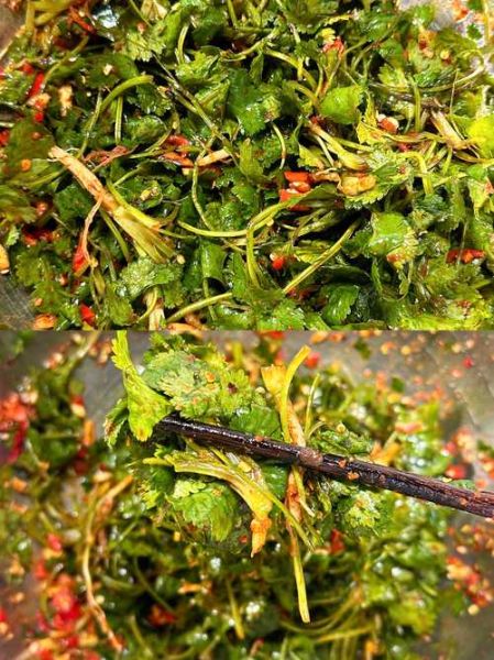 香菜怎么腌制才好吃_家常香菜腌法-第2张图片-山城妙识