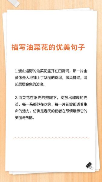 油菜花像什么_油菜花像什么比喻句-第1张图片-山城妙识