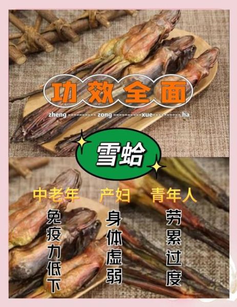 雪蛤的功效与作用有哪些_雪蛤适合什么人吃-第3张图片-山城妙识