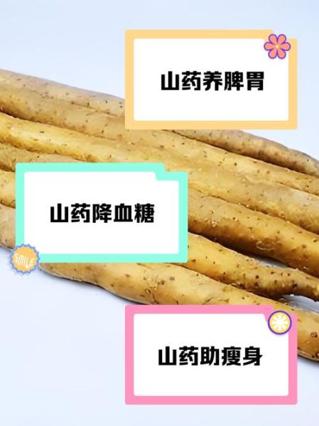 焦作铁棍山药的功效与作用_孕妇能吃吗-第3张图片-山城妙识