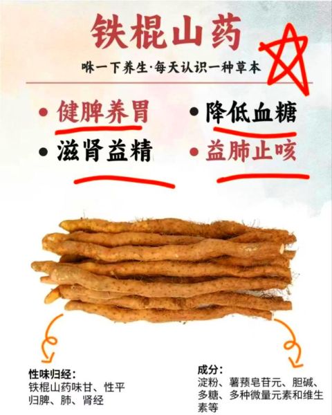 焦作铁棍山药的功效与作用_孕妇能吃吗-第1张图片-山城妙识