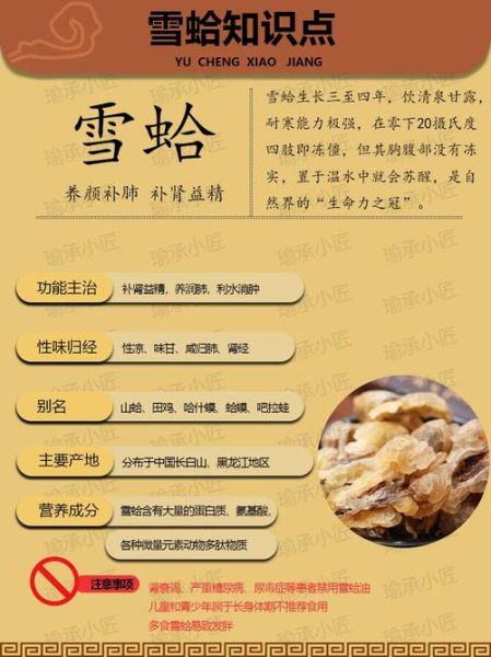 雪蛤是什么东西_雪蛤有什么功效-第1张图片-山城妙识 雪蛤是什么东西_雪蛤有什么功效-第1张图片-山城妙识