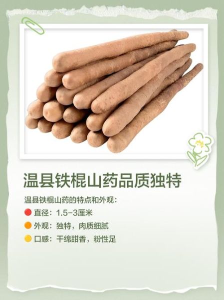焦作铁棍山药的功效与作用_孕妇能吃吗-第2张图片-山城妙识