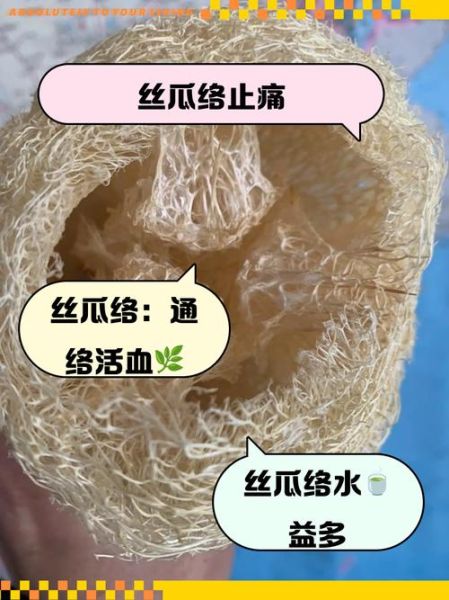 老丝瓜能打通经络吗_老丝瓜络煮水喝真的有效吗-第3张图片-山城妙识 老丝瓜能打通经络吗_老丝瓜络煮水喝真的有效吗-第3张图片-山城妙识
