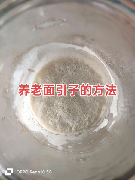 老面馒头怎么做_老面馒头为什么发酸-第3张图片-山城妙识 老面馒头怎么做_老面馒头为什么发酸-第3张图片-山城妙识