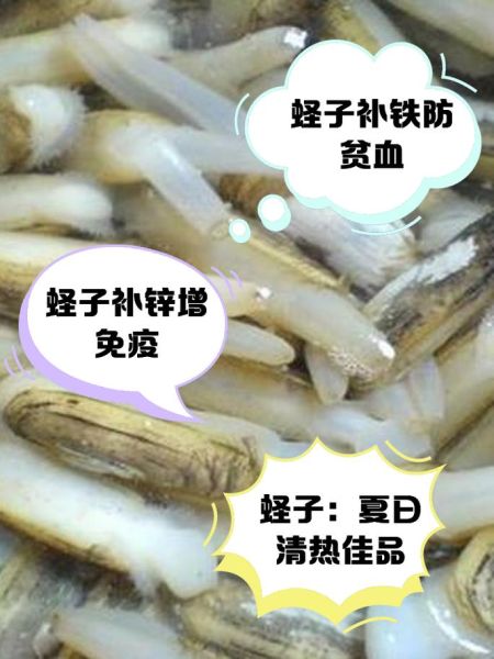 蛏子全身都可以吃吗_哪些部位不能吃-第1张图片-山城妙识