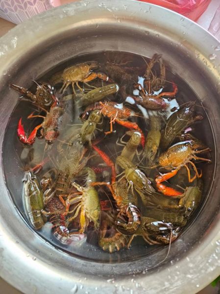 龙虾怎么做好吃_红烧龙虾的做法步骤-第3张图片-山城妙识 龙虾怎么做好吃_红烧龙虾的做法步骤-第3张图片-山城妙识