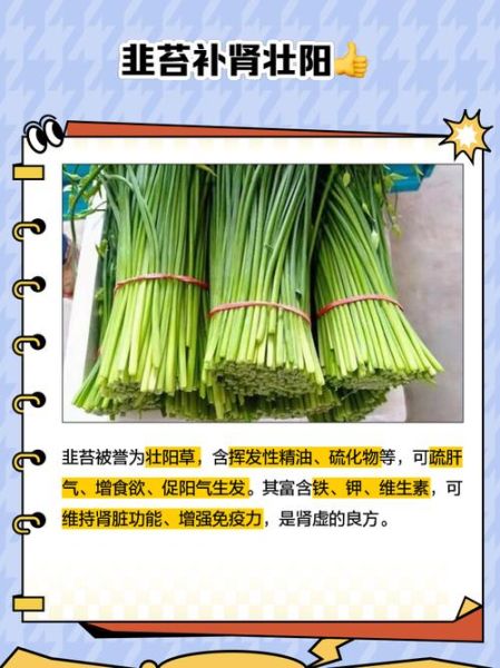 韭菜苔和韭菜的区别_哪个更营养-第2张图片-山城妙识 韭菜苔和韭菜的区别_哪个更营养-第2张图片-山城妙识