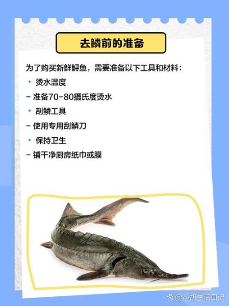 鲟鱼怎么清理_鲟鱼去鳞视频教程-第1张图片-山城妙识