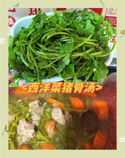 西洋菜煲猪骨怎么做_西洋菜煲猪骨的功效与禁忌-第2张图片-山城妙识 西洋菜煲猪骨怎么做_西洋菜煲猪骨的功效与禁忌-第2张图片-山城妙识