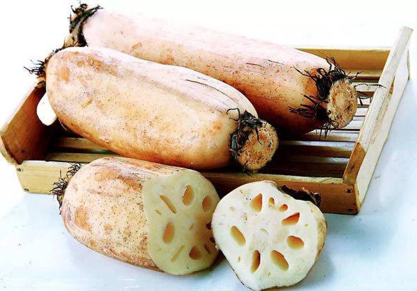 莲藕图片大全_如何挑选新鲜莲藕-第2张图片-山城妙识