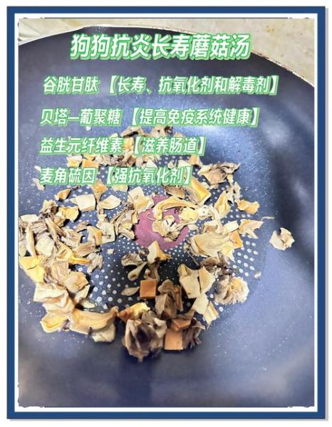 口蘑的营养价值_口蘑的功效与作用-第3张图片-山城妙识
