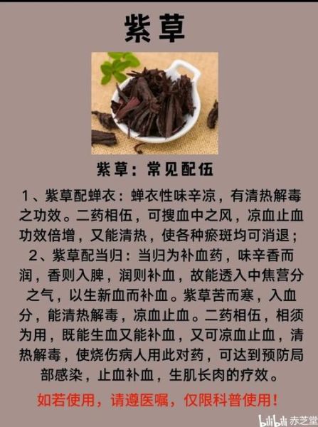 紫草的功效与作用_紫草怎么吃最好-第2张图片-山城妙识 紫草的功效与作用_紫草怎么吃最好-第2张图片-山城妙识