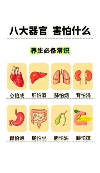 健康营养早餐吃什么_如何搭配-第1张图片-山城妙识 健康营养早餐吃什么_如何搭配-第1张图片-山城妙识