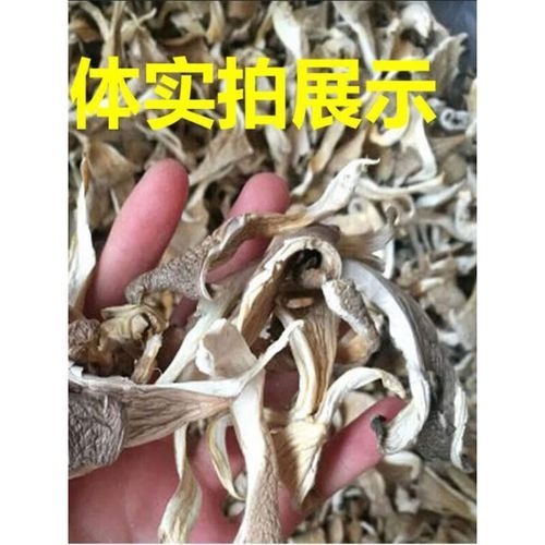 鲍鱼菇的功效与作用_鲍鱼菇怎么吃最好-第2张图片-山城妙识