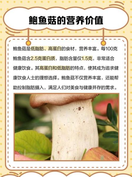 鲍鱼菇的功效与作用_鲍鱼菇怎么吃最好-第1张图片-山城妙识