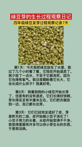 黄豆发芽观察日记7天怎么写_四年级作文范例-第1张图片-山城妙识