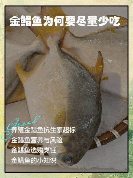 金鲳鱼为什么不能吃_金鲳鱼吃了会中毒吗-第2张图片-山城妙识 金鲳鱼为什么不能吃_金鲳鱼吃了会中毒吗-第2张图片-山城妙识