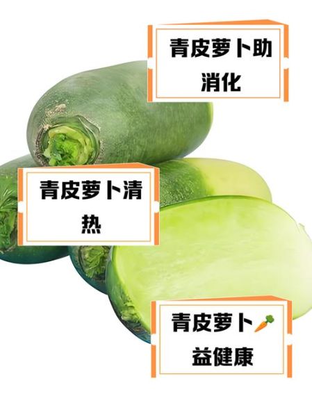 青萝卜的营养价值_青萝卜的功效与作用-第3张图片-山城妙识