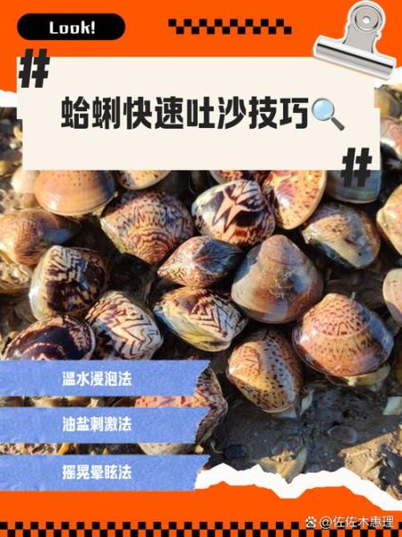 花蛤怎么吐沙_花蛤焯水几分钟-第1张图片-山城妙识