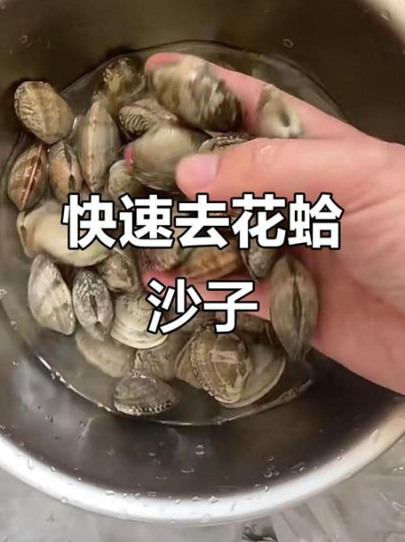 花蛤怎么吐沙_花蛤焯水几分钟-第2张图片-山城妙识