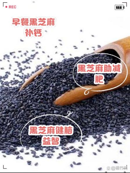 黑芝麻每天吃多少克合适_黑芝麻过量危害-第1张图片-山城妙识