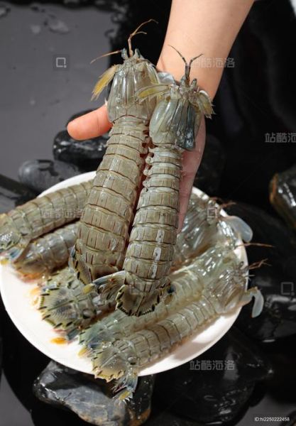 濑尿虾是什么意思_濑尿虾和皮皮虾区别-第1张图片-山城妙识 濑尿虾是什么意思_濑尿虾和皮皮虾区别-第1张图片-山城妙识