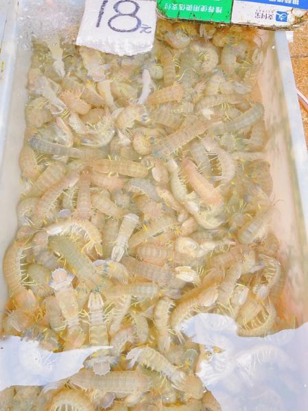 濑尿虾是什么意思_濑尿虾和皮皮虾区别-第3张图片-山城妙识 濑尿虾是什么意思_濑尿虾和皮皮虾区别-第3张图片-山城妙识