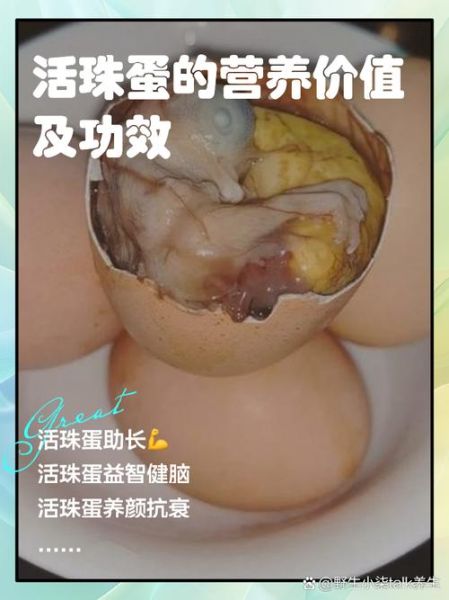 鸡蛋的营养价值及功效与作用_吃鸡蛋每天几个最好-第2张图片-山城妙识