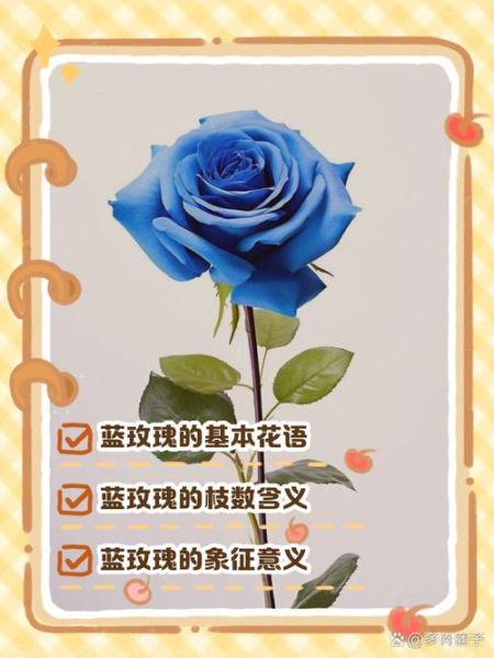 蓝玫瑰代表什么意思_蓝玫瑰的花语与寓意-第2张图片-山城妙识