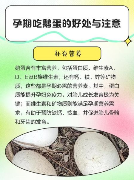 孕妇能吃鹅蛋吗_孕妇吃鹅蛋的禁忌-第2张图片-山城妙识 孕妇能吃鹅蛋吗_孕妇吃鹅蛋的禁忌-第2张图片-山城妙识