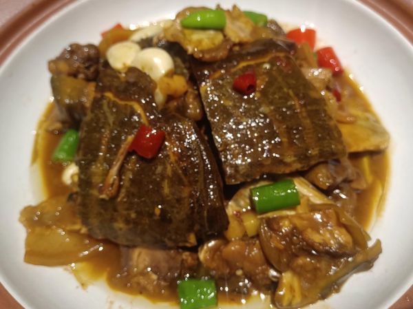 红烧甲鱼怎么做才正宗_红烧甲鱼的家常做法-第2张图片-山城妙识 红烧甲鱼怎么做才正宗_红烧甲鱼的家常做法-第2张图片-山城妙识