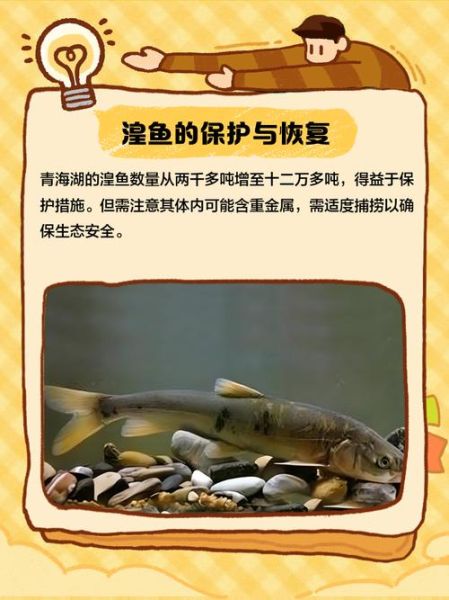 青海湟鱼的做法大全_湟鱼怎么做好吃-第1张图片-山城妙识