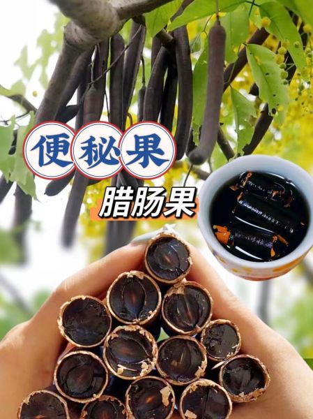 腊肠树果的功效与作用_腊肠树果怎么吃-第3张图片-山城妙识