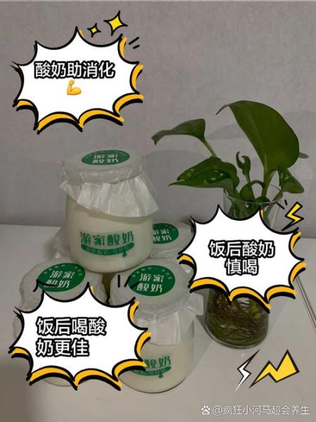 饭后喝酸奶好吗_饭后多久喝酸奶最合适-第1张图片-山城妙识 饭后喝酸奶好吗_饭后多久喝酸奶最合适-第1张图片-山城妙识