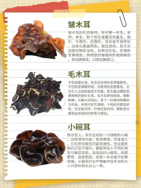 香菇木耳怎么区分_香菇木耳哪个营养高-第3张图片-山城妙识
