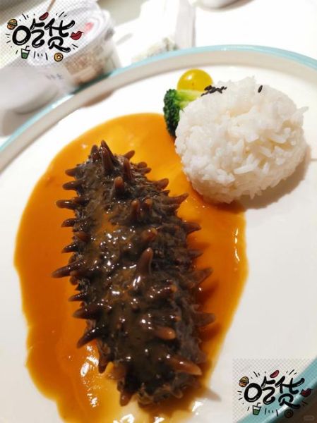鲍汁海参捞饭怎么做_鲍汁海参捞饭的家常做法-第1张图片-山城妙识