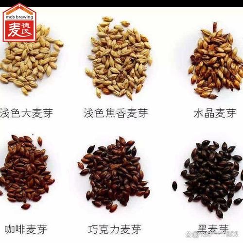 自酿啤酒需要什么设备_自酿啤酒步骤详解-第2张图片-山城妙识