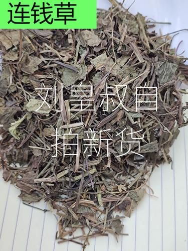 连钱草的功效与作用_连钱草怎么泡水喝-第1张图片-山城妙识
