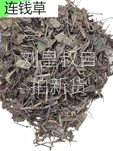 连钱草的功效与作用_连钱草怎么泡水喝-第2张图片-山城妙识